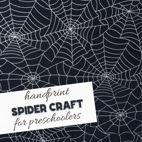 Itsy Bitsy Spider Craft