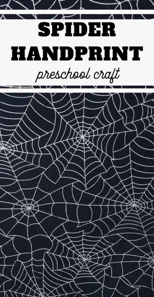 Itsy Bitsy Spider Craft