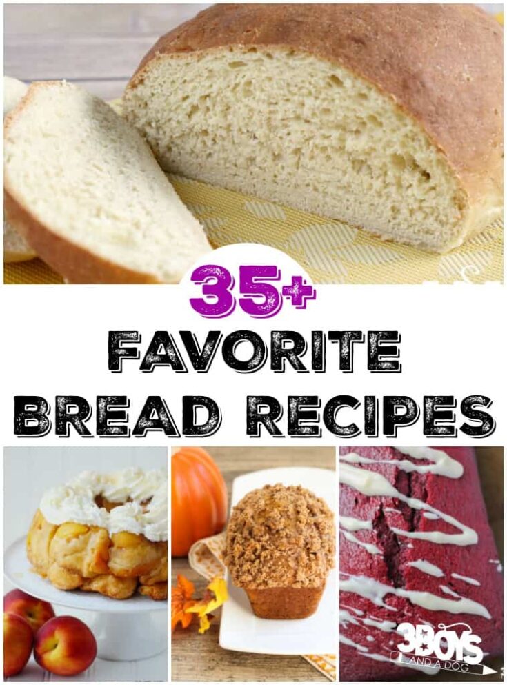 35+ Favorite Bread Recipes - 3 Boys and a Dog
