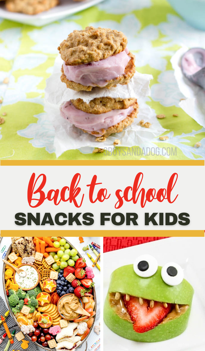 Back to School Snacks for Kids - 3 Boys and a Dog
