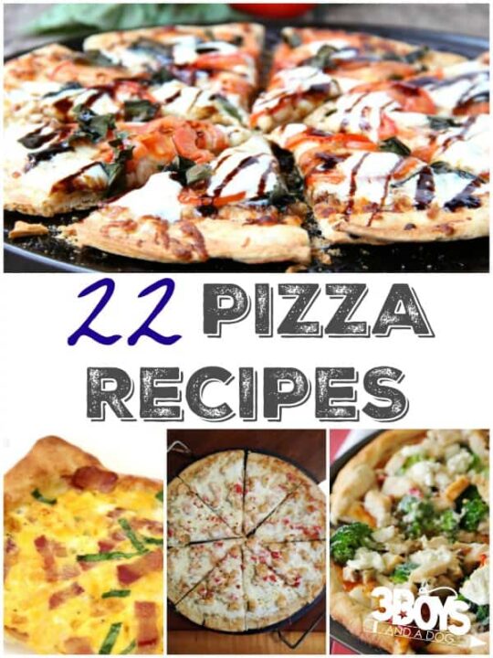 22 Pizza Recipes - 3 Boys and a Dog