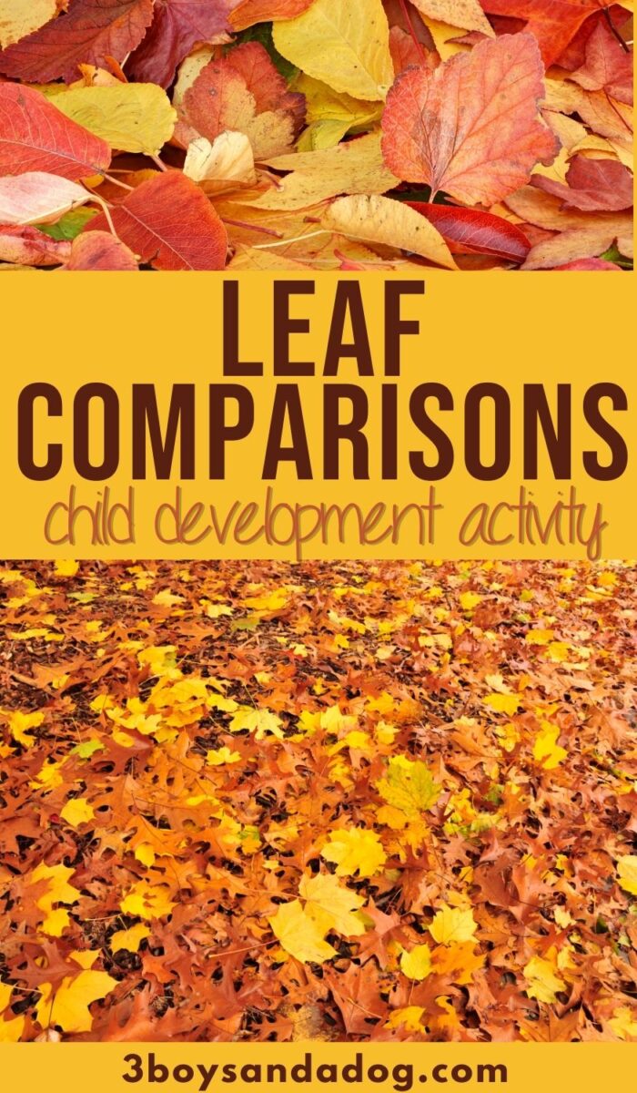 Leaf Comparisons Child Development Activity - 3 Boys and a Dog
