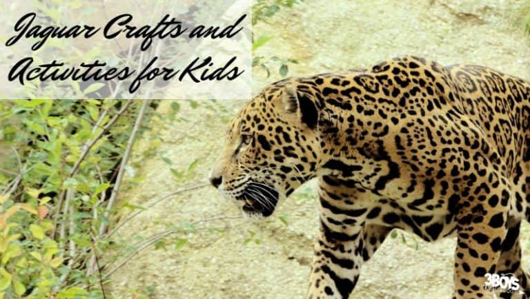 J is for Jaguar: Jaguar Crafts and Activities for Kids