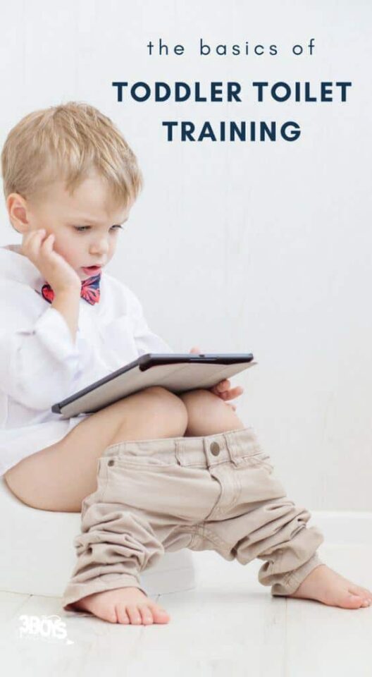 How to Potty Train a Toddler | Toilet Training Tips