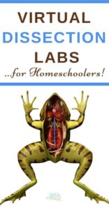 Virtual Dissection Labs for Homeschoolers