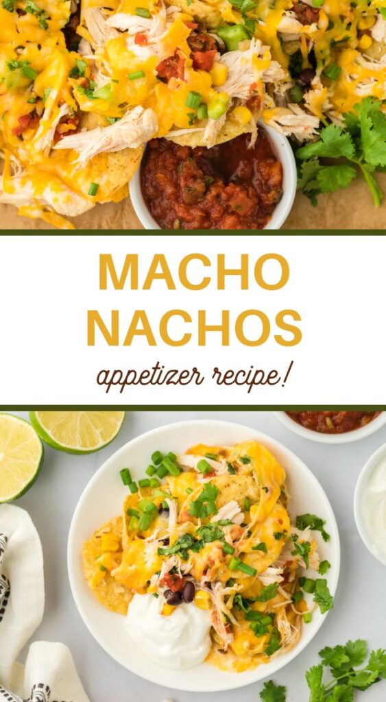 Macho Nachos Appetizer