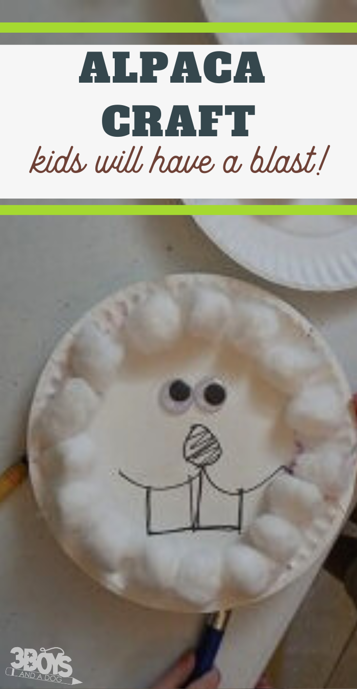 Alpaca Craft for Kids
