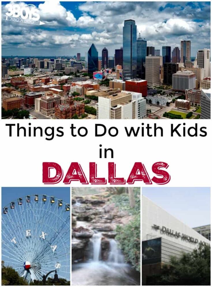Dallas: 10 Things to Do with Kids! - 3 Boys and a Dog