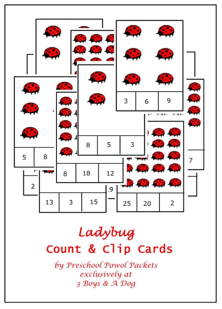 The Ladybug Game Counting Cards {Family Game Night}