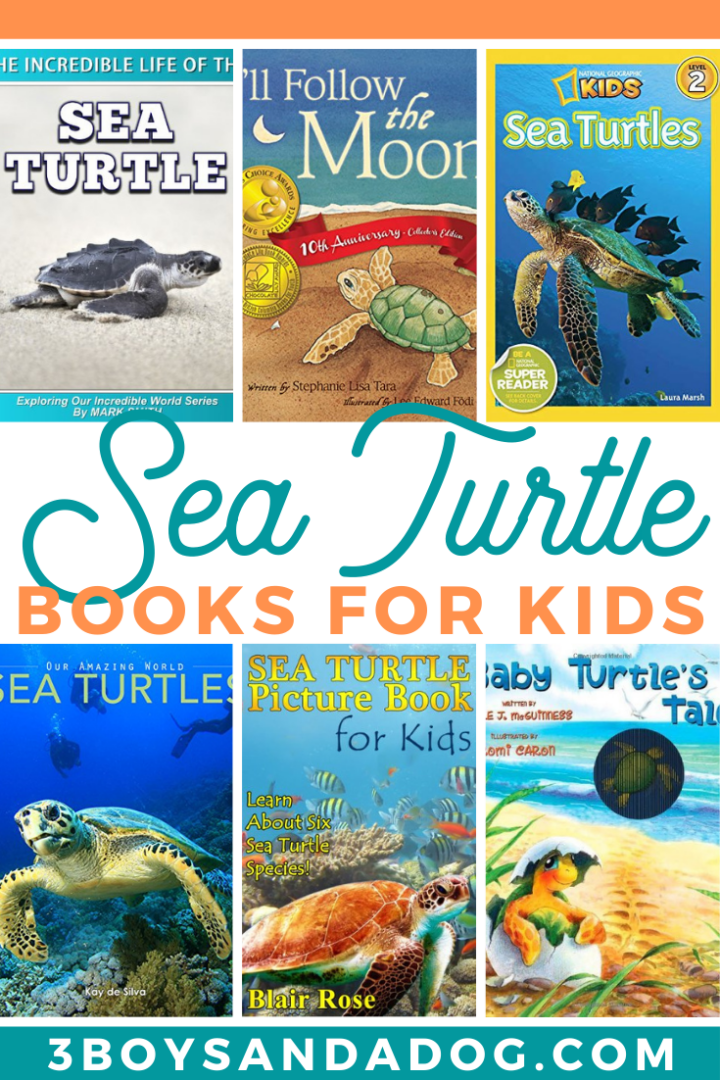 Sea Turtle Books for Kids {Ocean Animals Unit Study}