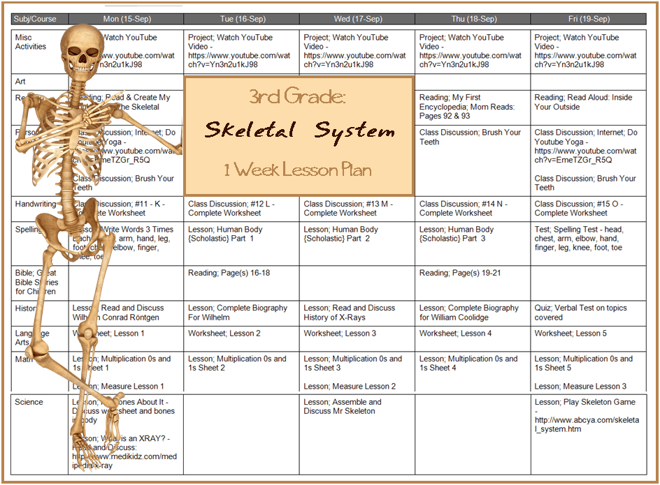 Learn The Skeletal System Grade Three Unit Study Learn The Skeletal System Grade Three Unit Study