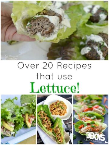 20 Recipes Using Lettuce {March Seasonal Vegetable}