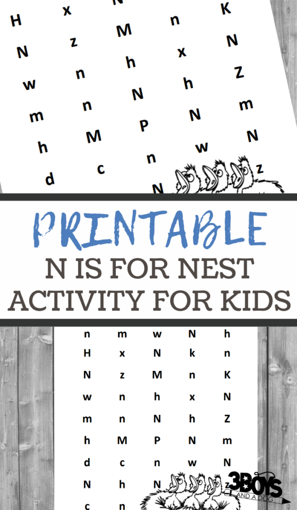 Find the Letter: N is for Nest