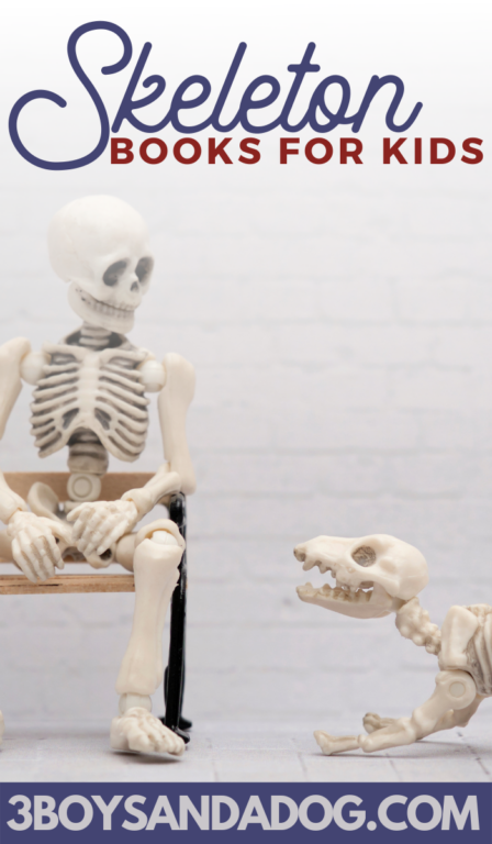 Engaging Children's Books About Skeletons for Fun Learning