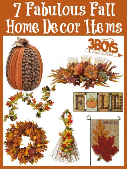 7 Fabulous Fall Home Decor Items - 3 Boys and a Dog