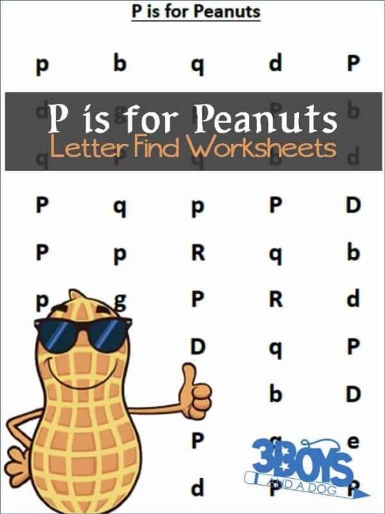 Find the Letter: P is for Peanuts - 3 Boys and a Dog