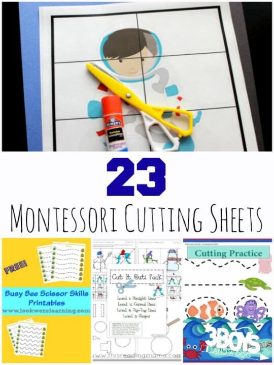23 Montessori Cutting Sheets - 3 Boys and a Dog