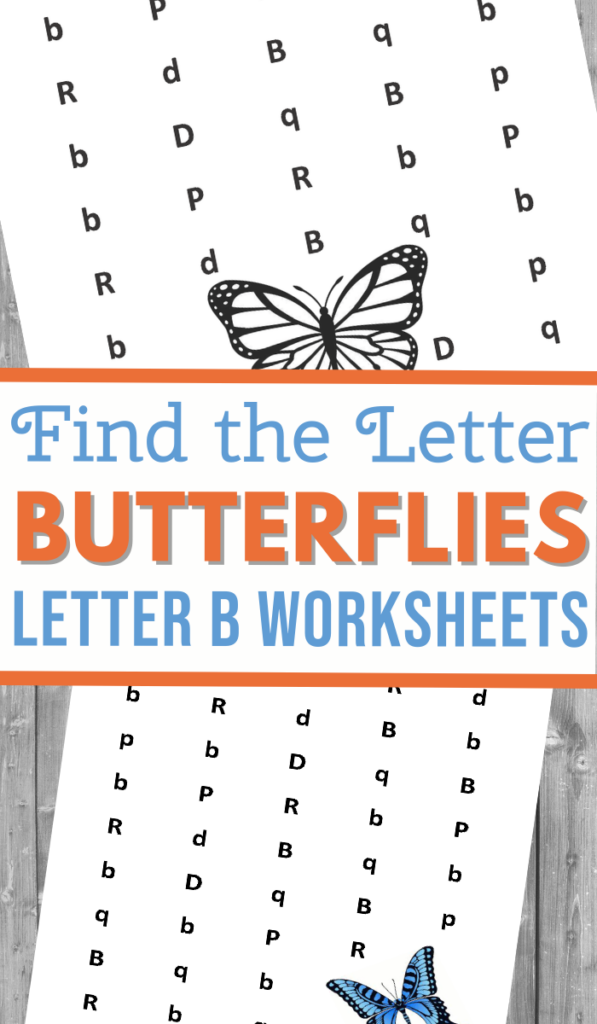 Find the Letter: B is for Butterflies - 3 Boys and a Dog