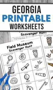 Printable Georgia State Fact Worksheets for Kids