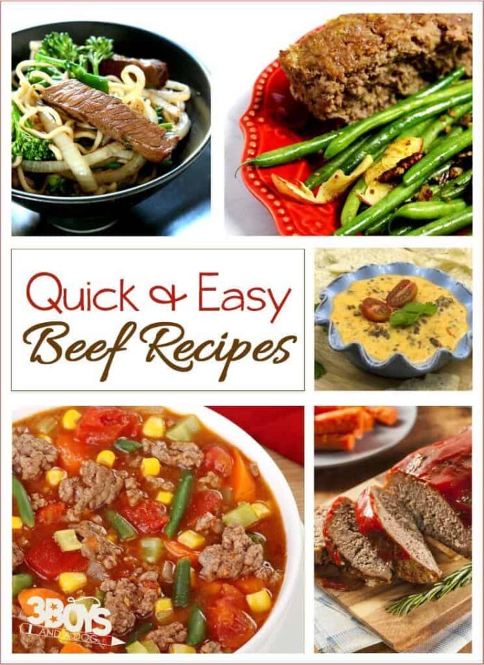 Easy and Quick Beef Recipes - 3 Boys and a Dog
