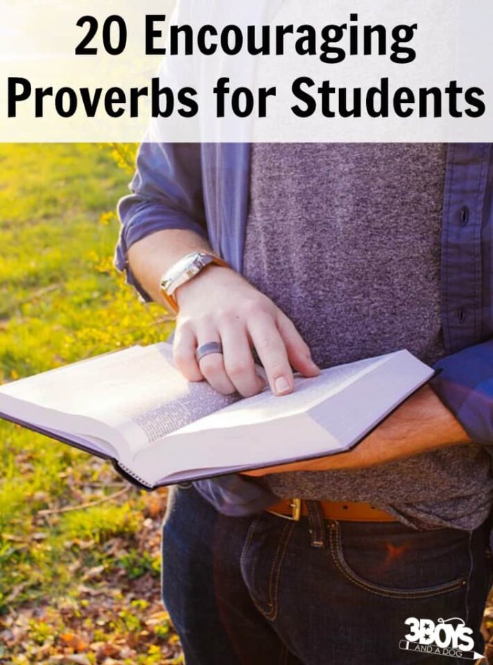 Encouraging Proverbs for Students with Meaning (Perfect for Parents and ...