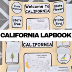 California State Fact File Worksheets