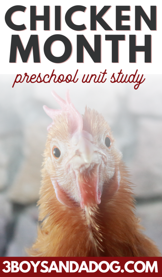 Chickens Complete Unit Study