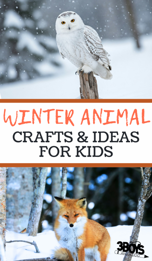 Where Do Animals Sleep in the Winter Crafts and Activities