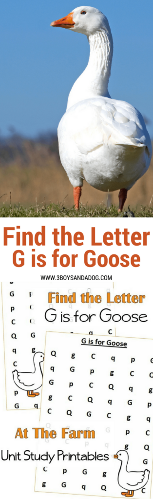 Find the Letter Printables: G is for Goose – At The Farm Unit Study – 3 ...