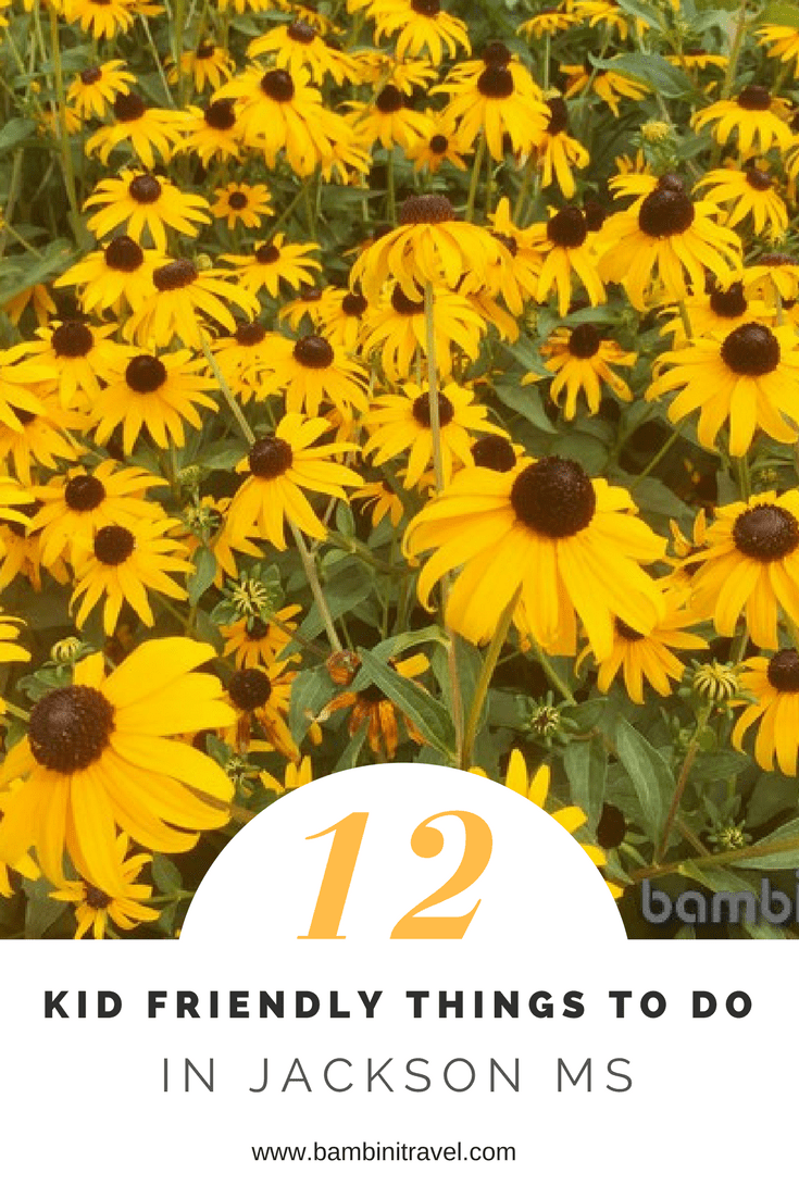 12 Most Kid Friendly Things To Do In The Jackson MS Area