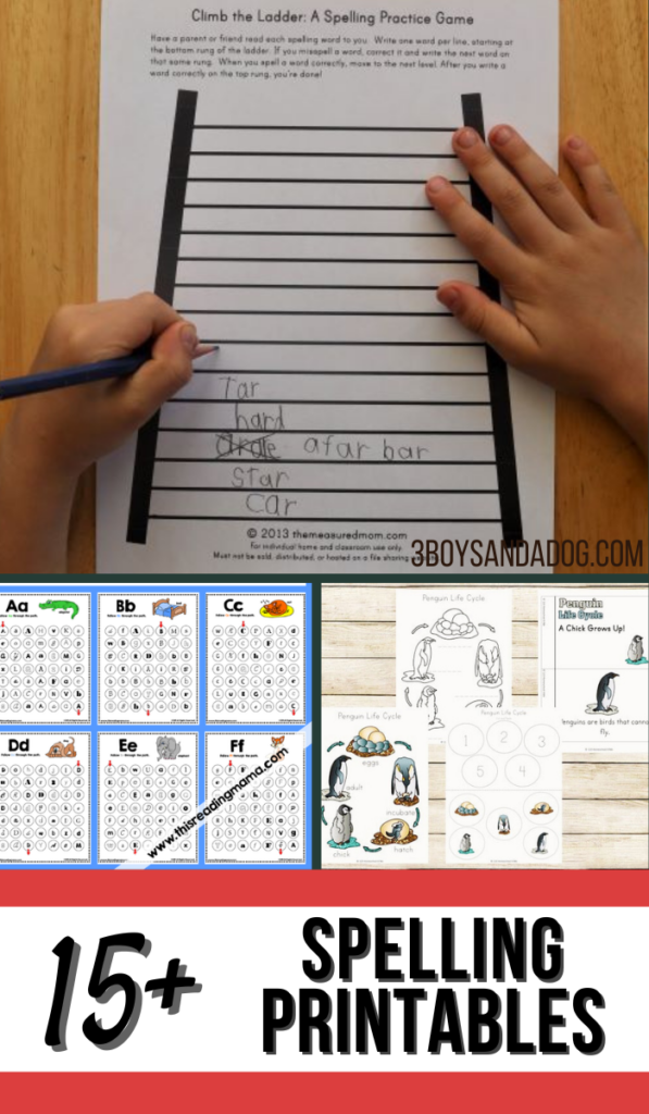 Free Spelling Worksheets for Fun Learning Activities