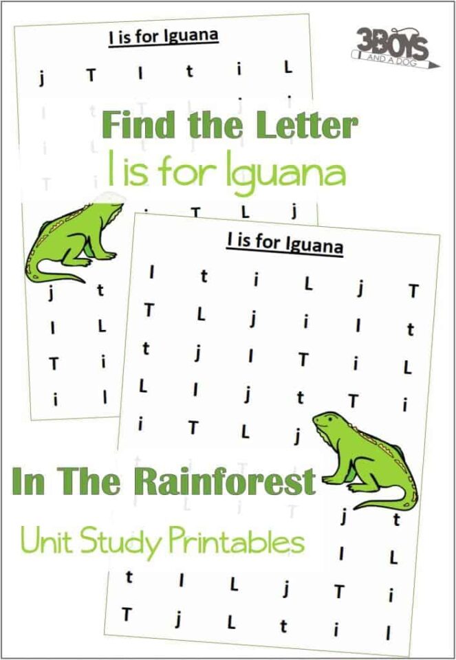 Find the Letter I is for Iguana Worksheets | Rainforest Unit Study