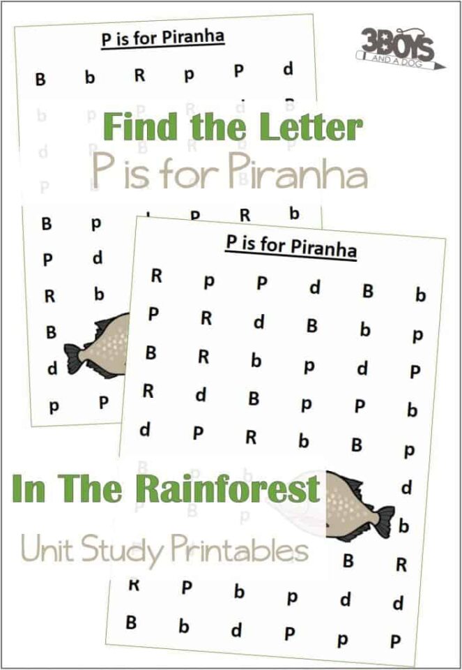 Find the Letter P is for Piranha | Rainforest Unit Study