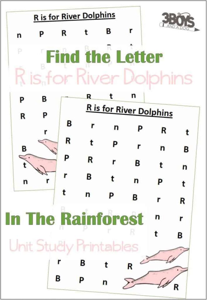 Letter R is for River Dolphin Printables | Rainforest Unit Study