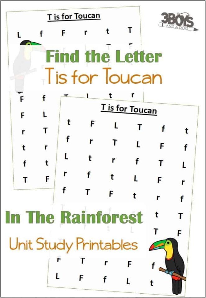 Find the Letter T is for Toucan | Rainforest Unit Study