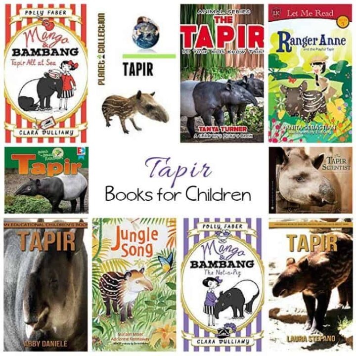 Tapir Books for Kids | Rainforest Unit Study