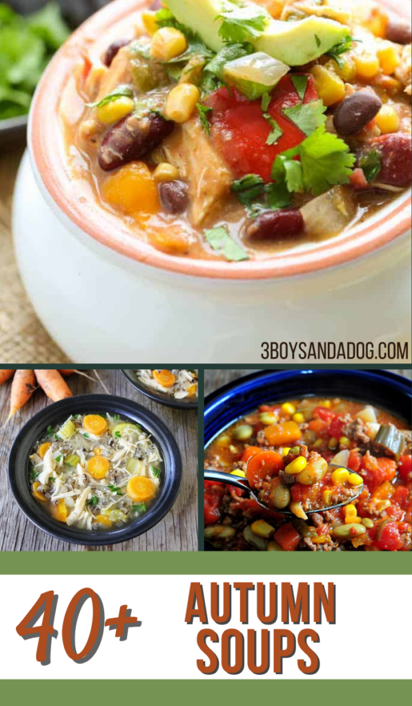40+ Delicious Fall Soup Recipes