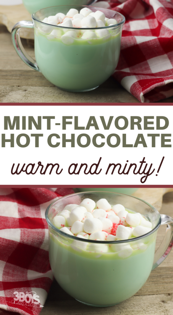 Easy Mint Hot Chocolate Recipe