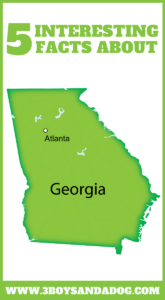 Interesting Facts About Georgia State for Kids