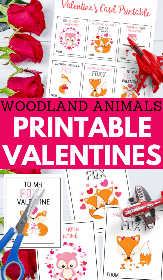 Adorable Woodland Animals Valentine Cards