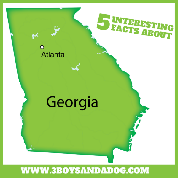 Interesting Facts About Georgia State for Kids