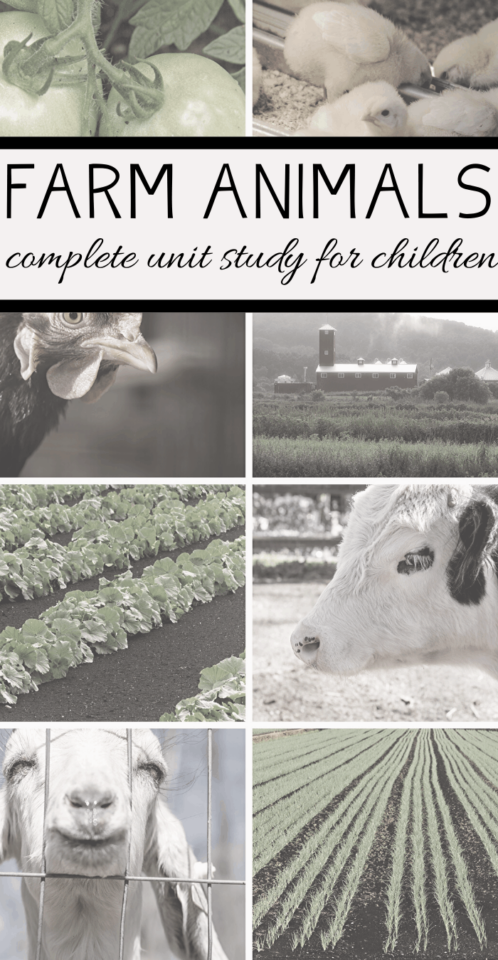 Farm Animals Unit Study