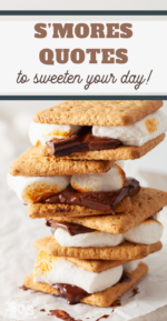Cute S'mores Quotes to Sweeten Your Day