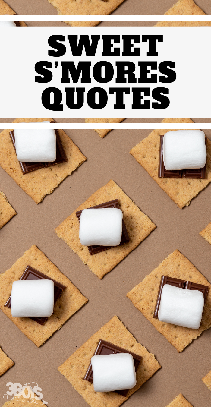Cute S'mores Quotes to Sweeten Your Day