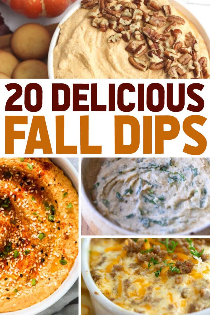 Simple and Quick Fall Dip Recipes