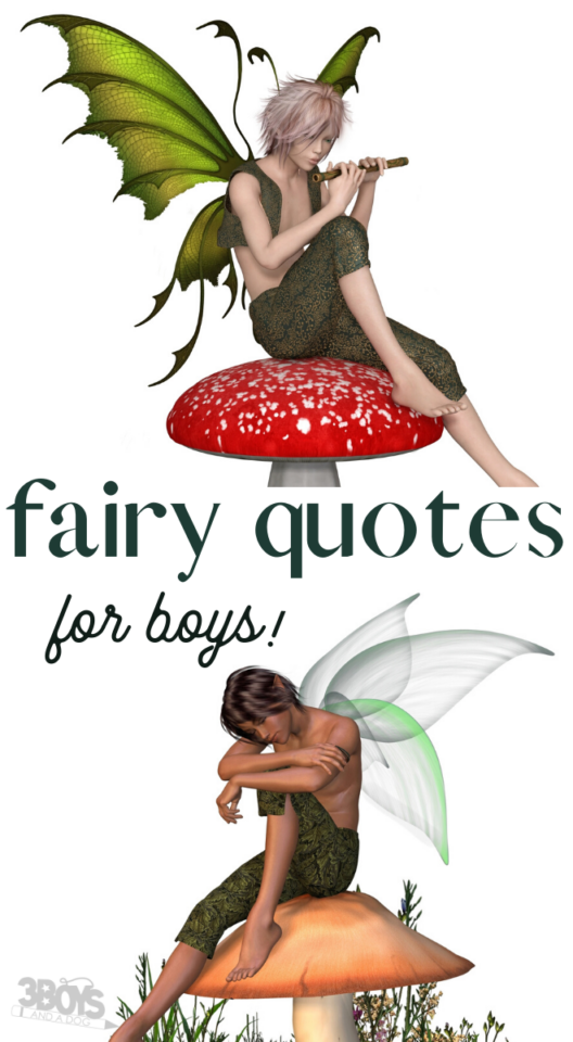 Fun and Festive Fairy Quotes for Boys
