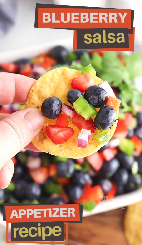 Sweet and Spicy Blueberry Salsa Recipe