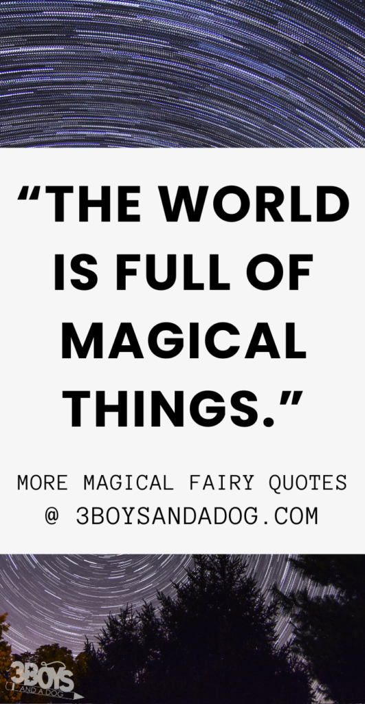 Magical Fairy Quotes That Will Make You Believe Again