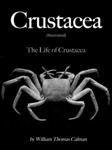 Crab Books for Kids {Ocean Animals Unit Study}