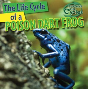 Poison Dart Frog Books for Kids | Rainforest Unit Study